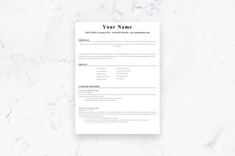 Making the Most of Your One-Page CV: How to Fit Your Career Story ...