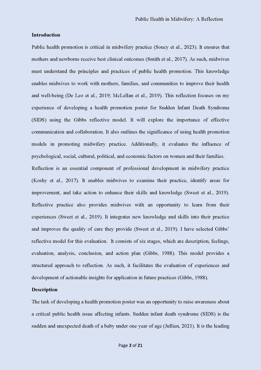 Reflection Essay Sample on Public Health in Midwifery | Grammarholic