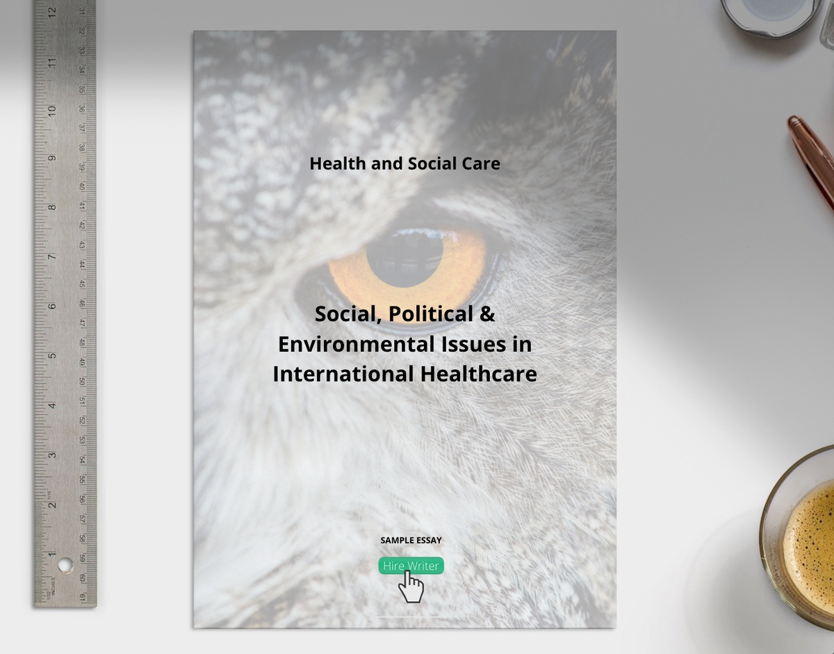 Social, Political & Environmental Issues in International Healthcare ...
